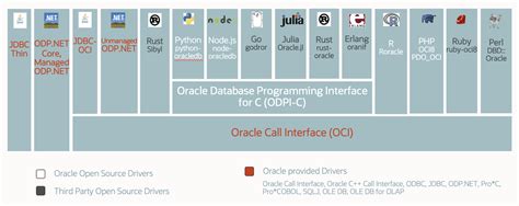 Language Bindings For Autonomous Database An Overview For Developers