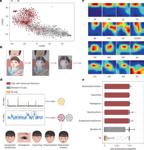 Interpretability And Visualization Of The Detection Model A The T Sne