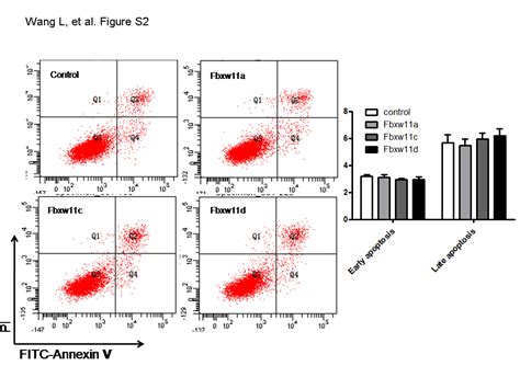 fbxw11 promotes the proliferation of lymphocytic leukemia cells through