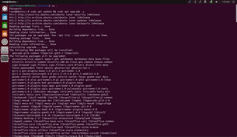 Everything You Need To Know About Using Nala On Ubuntu