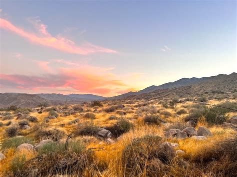 Oswit Canyon Hike A Hidden Gem In Palm Springs
