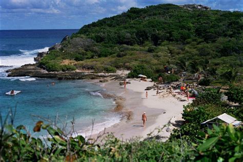 Location Gite Sur La Cote Sous Le Vent En Guadeloupe Près De Malendure
