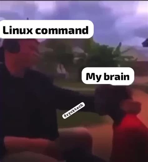 babatunde yahaya on linkedin 🤣🤣🤣 this was me learning shell scripting