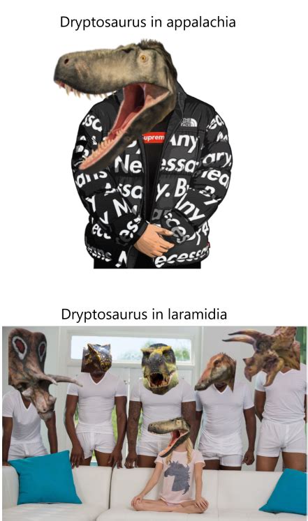 Reddit Dive Into Anything