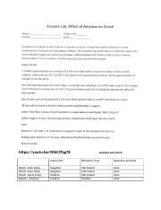 Understanding Enzymes Functions Reactions And Tests For Course Hero