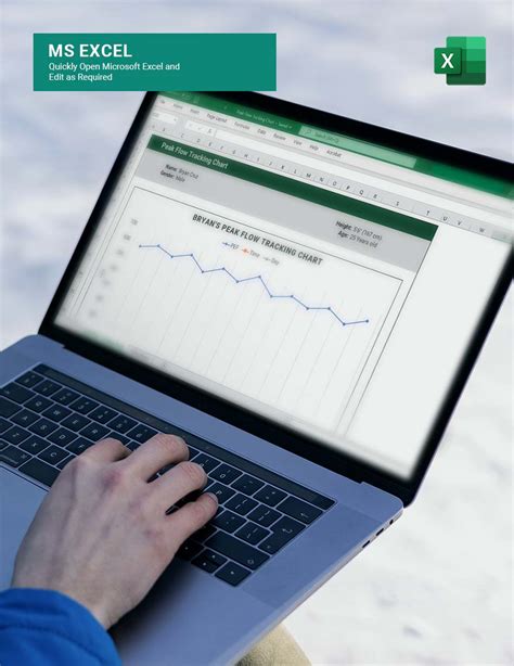 Peak Flow Tracking Chart Google Sheets Excel Template Net