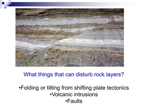 Fossils And Rock Layers Pptx