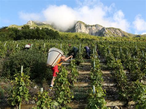 Philippe Grisard La Fruitière Du Mont Blanc