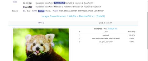 Wasm The Labels Are Incorrect For Some Models After Installing The Two Newest Tensorflow