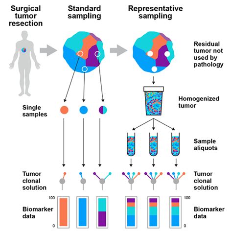 Theory Of Sampling Application Toward A Theory Of Tumour Sampling