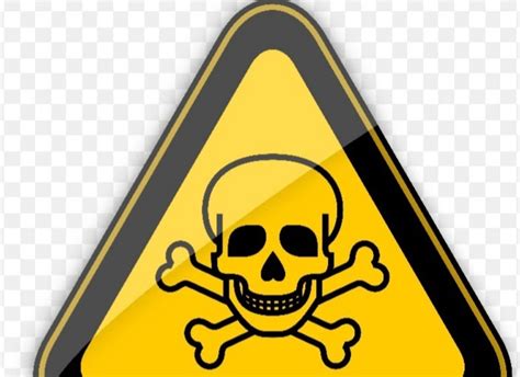 رئالیتی جوکر قسمت ۳ عکس ویسگون