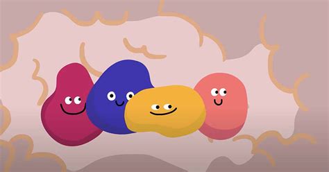 Armenian Having Sex Intimacy And Emotions Amaze