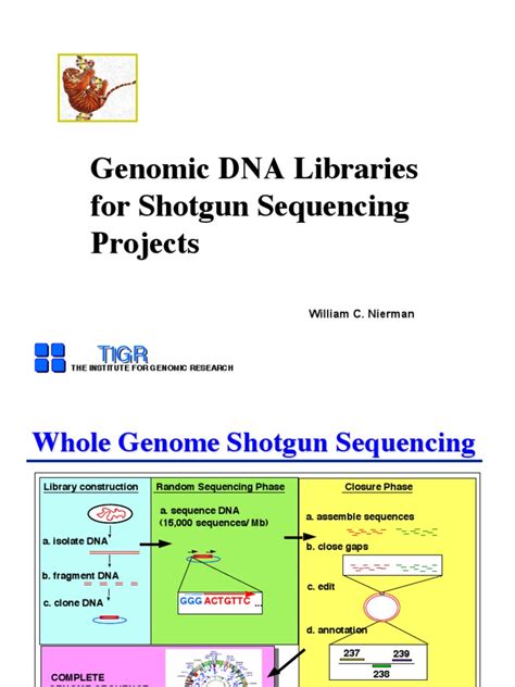 Genomic Dna Libraries For Shotgun Sequencing Projects Pdf Vector Molecular Biology