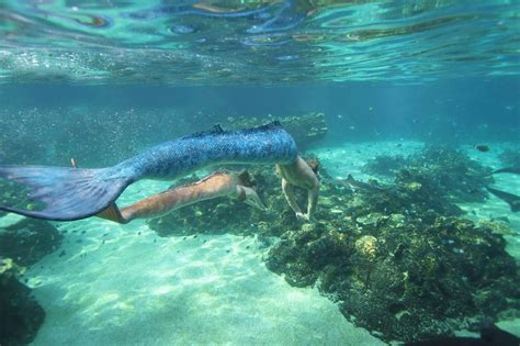 Mako Mermaids Mako Mermaids Added A New Photo