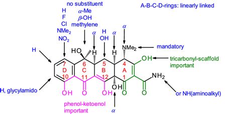 Structure Activity Relationships Of The Tetracycline Class Of Compounds Download Scientific