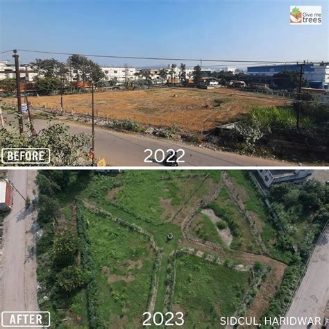 Sandeep Banerjee On Linkedin Partnering With Give Me Trust Trees As Part Of Our Go Green Initiative