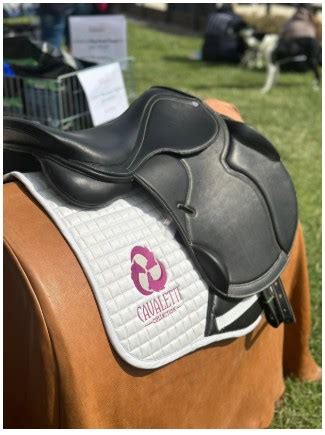 Saddle Care Guide Maintenance Tips And Tricks