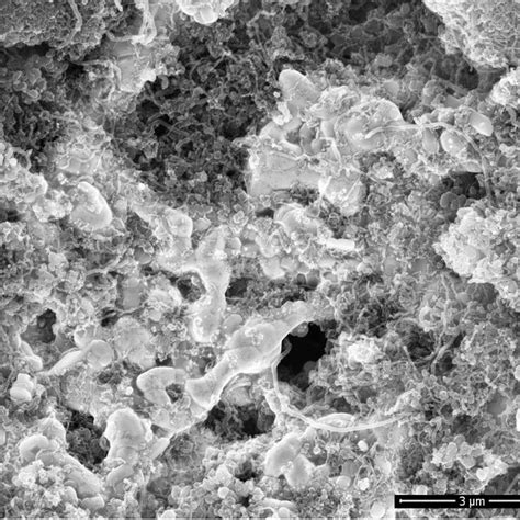 Pt Layer Surface Se Tld Detector E 5 Kev Magnification 10000x