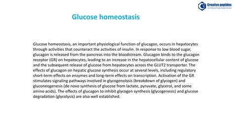 Glucagon And Glucagon Signaling Creative Peptides Ppt