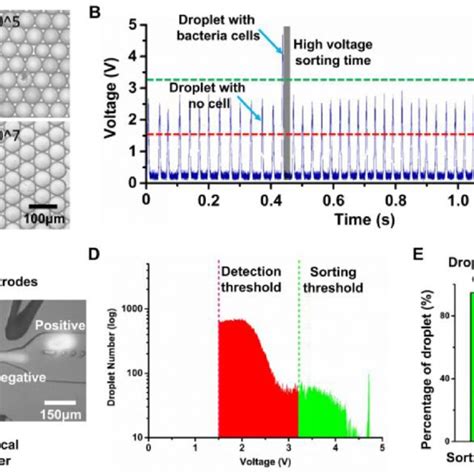 Evaluation Of The Counting Part Of The Microfluidic Platform For