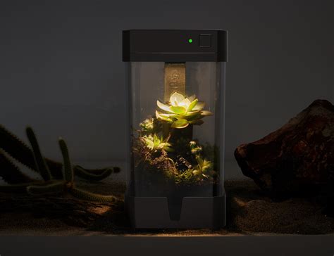 Orchidbox Smart Mini Ecosystem Gadget Flow