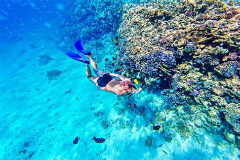 Where To Find The Best Snorkeling In Lahaina And West Maui 2026 Guide