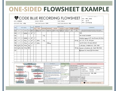 Code Blue Recording Flowsheet Printable Pdf Download Etsy