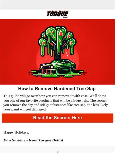 Torque Detail How To Remove Hardened Tree Sap From Your Car Milled