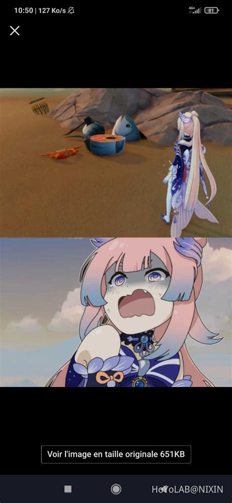 Kokofish Genshin Impact Hoyolab