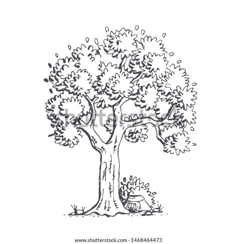 Set Trees Foliage Vector Graphics Isolated Stock Vector Royalty Free
