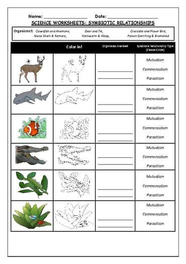 Science Worksheet Symbiotic Relationships Science Worksheets