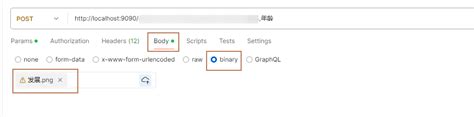 使用 Postman 上传二进制类型的图片到后端接口写法postman 请求二进制 Csdn博客