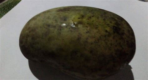 How To Use The Mango Labeling Object Detection Api