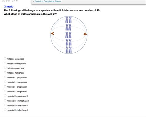 Solved Question 6 Question Completion Status 1 Mark The