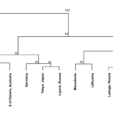 Hierarchical Clustering Dendrograms With Bootstrap Values Based On The