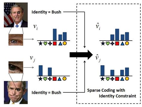 semi supervised face image retrieval using sparse coding with identity
