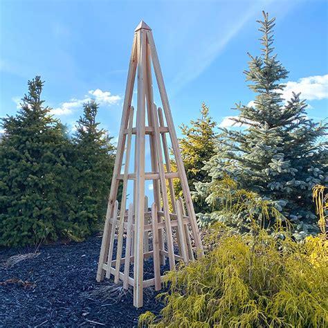 Premium Cedar Pyramid Garden Trellis 72h