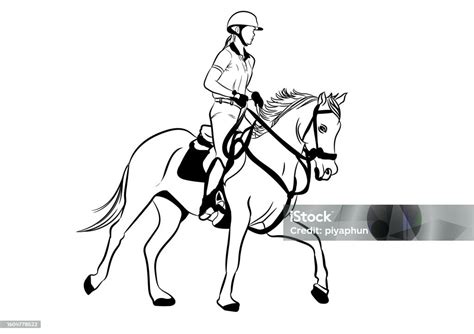 그래픽 이미지 그리기 기수 승마 말 윤곽선 스트로크 라인 벡터 그림 여자에 대한 스톡 벡터 아트 및 기타 이미지 여자 승마