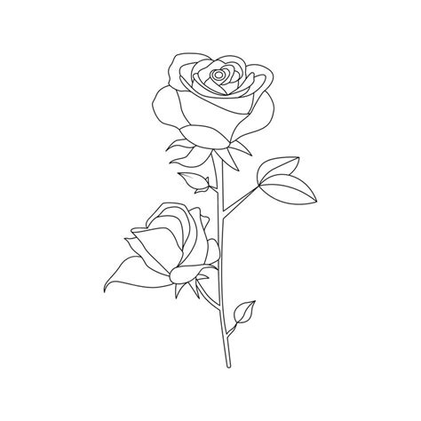 Premium Vector One Line Art Rose Flower Vector Outline Illustration