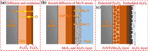 Microstructure Evolution Of Oxide Scale And Diffusion Layer On Strip