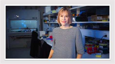 Ai Powered Intervention To Personalise Bowel Cancer Detection For At Risk Australians Health