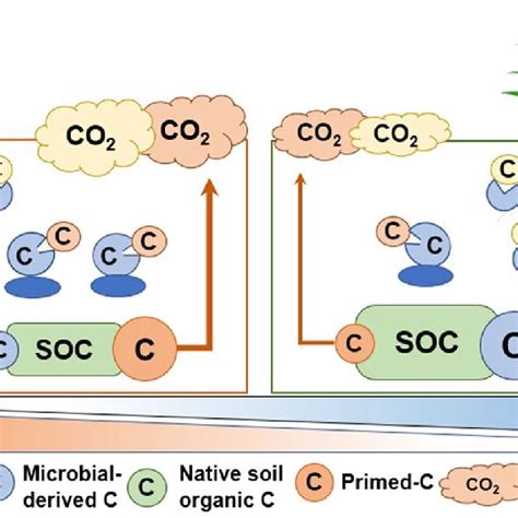Pdf Long Term Manuring Increases Microbial Carbon Use Efficiency And Mitigates Priming Effect