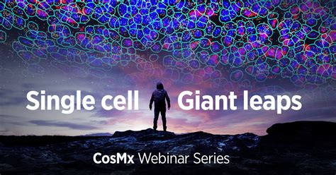 Spatial Multiomics Analyses Of A Cell Atlas And Interactome In Skin Cancer Quan Nguyen Phd