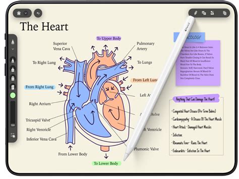 Official UPDF For Mac The Best Mac AI Powered PDF Editor