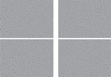 samples of images from the contour integration task top left 0