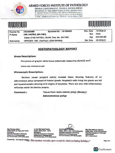 Biopsy Report Pdf
