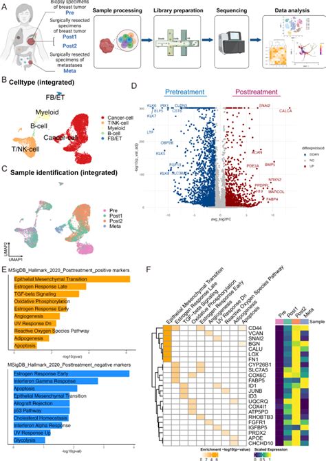 连续单细胞 Rna 测序揭示了 Iv 期乳腺癌的耐药性和转移特征 Npj Precision Oncology X Mol
