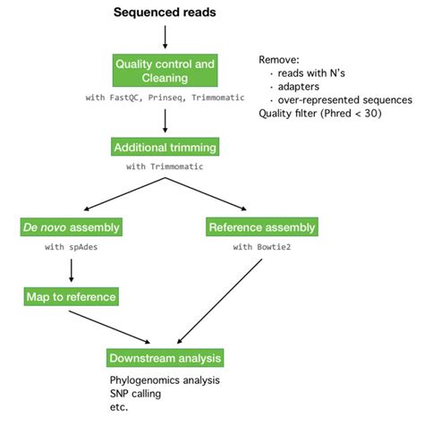 Bioinformatics Workflow The Main Steps Are Framed In Green Boxes Download Scientific Diagram