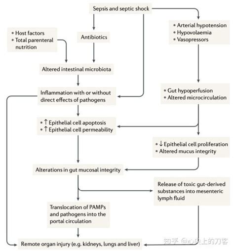 脓毒症器官功能衰竭的机制及治疗收藏） 知乎