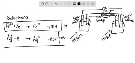 Solved Define The Terms Oxidation Reduction Standard Reduction Potential Anode And Cathode